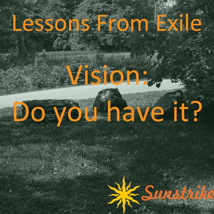 Lessons from Exile #56: Vision: Do You Have It? - Kareem Powell
